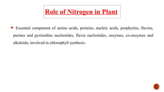 Role, Importance and Deficiency Symptoms Of Nitrogen.pptx