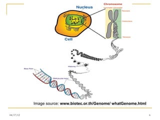 Bioinformatics-General_Intro | PPT | Databases | Computer Software and Applications