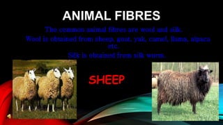 FIBRE TO FABRIC | PPTX