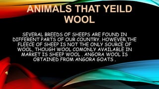 FIBRE TO FABRIC | PPTX