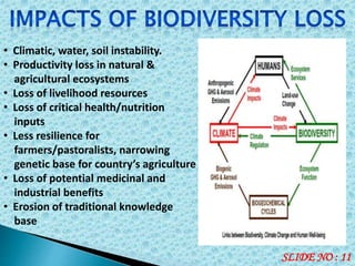 biodiversity by abhishek kumar jatav | PPTX | Geography | Science