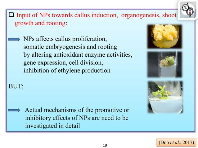 Nanotechnology for crop improvement | PDF