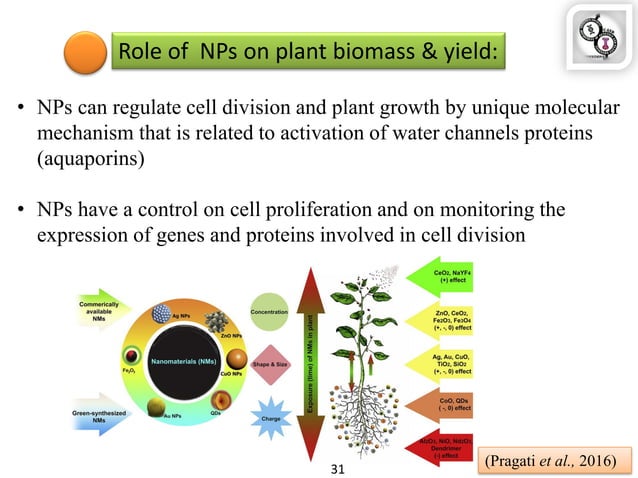 Nanotechnology for crop improvement | PDF