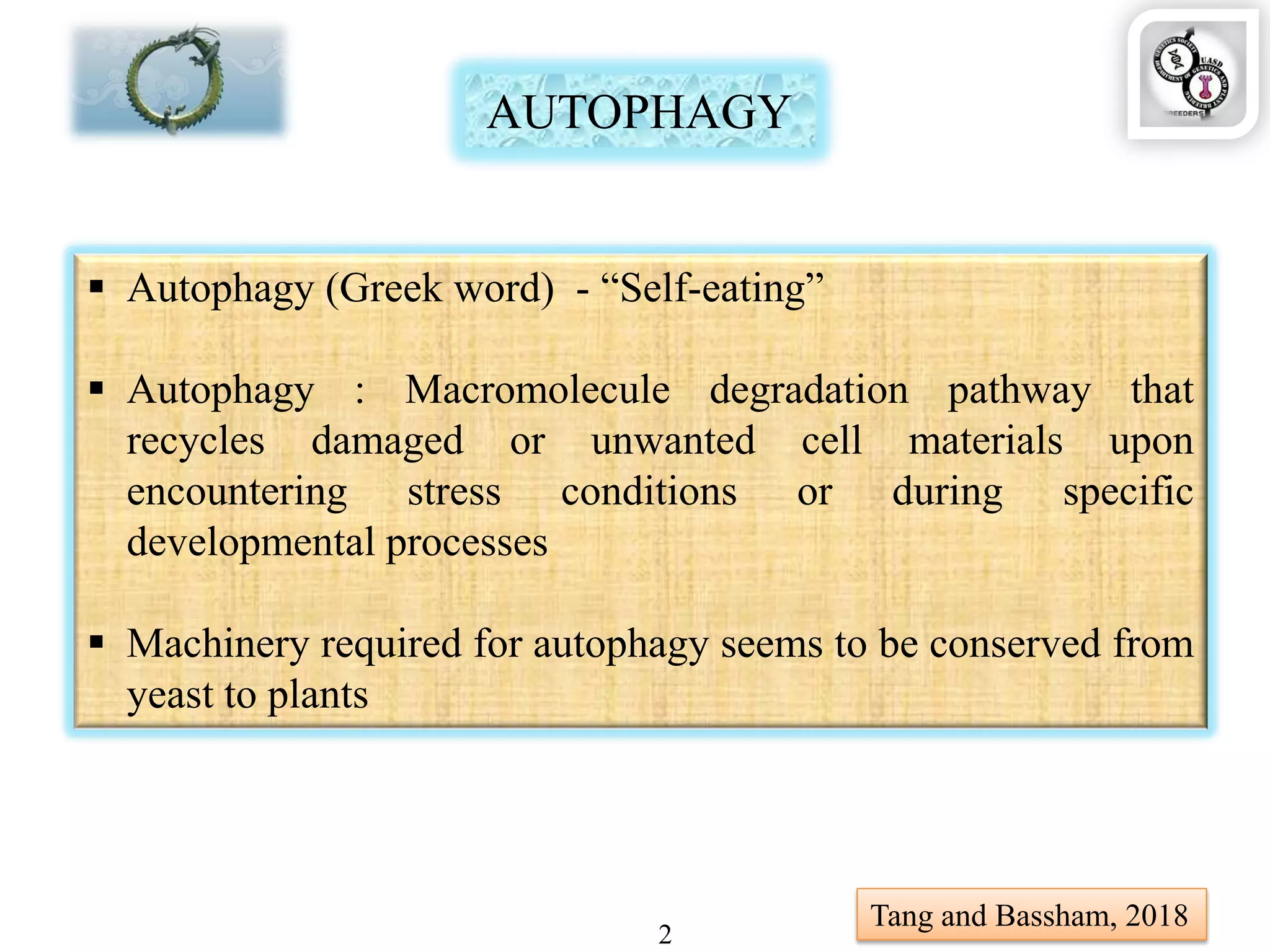 Autophagy in crop plants | PDF