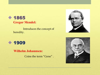 SHORT HISTORY OF DNA | PPTX