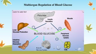 Abhishek_grp2_dmtype2 diabetic melitus type2 | PPTX