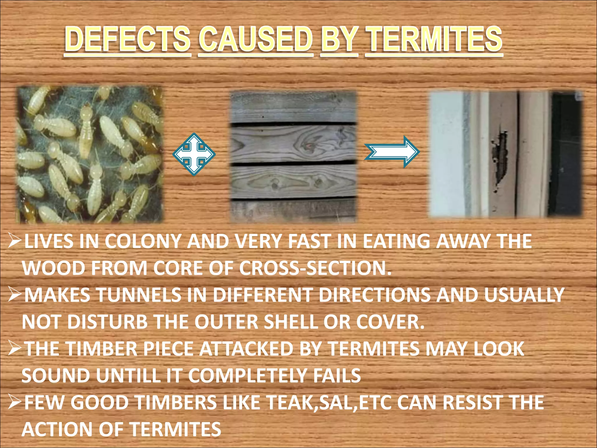 defects in timber by abhishek kumar jatav | PPTX