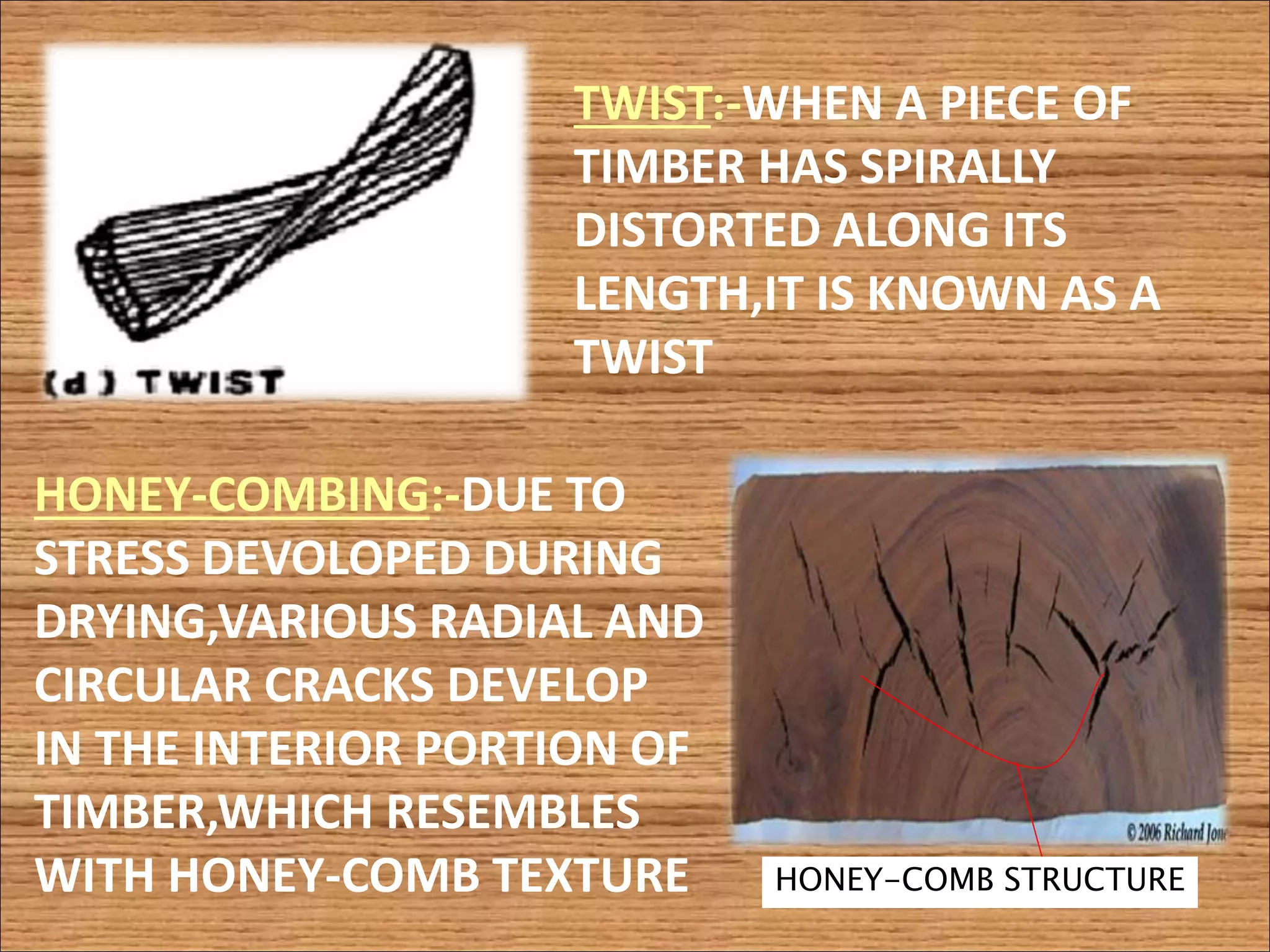 defects in timber by abhishek kumar jatav | PPTX