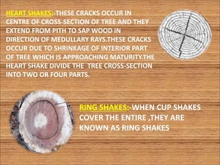 defects in timber by abhishek kumar jatav | PPTX