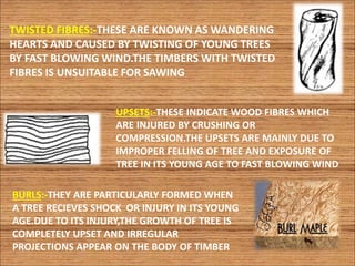defects in timber by abhishek kumar jatav | PPTX