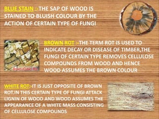 defects in timber by abhishek kumar jatav | PPTX