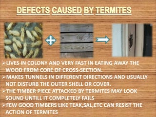 defects in timber by abhishek kumar jatav | PPTX
