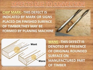 defects in timber by abhishek kumar jatav | PPTX