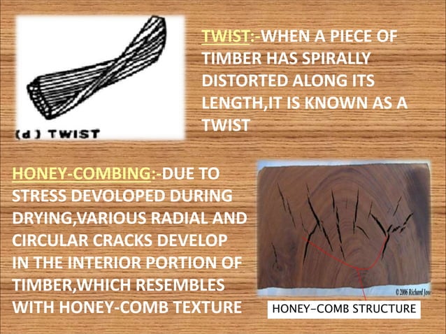 defects in timber by abhishek kumar jatav | PPTX