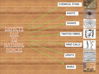 defects in timber by abhishek kumar jatav | PPTX