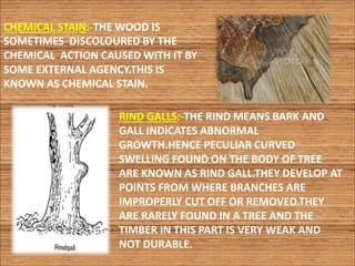 defects in timber by abhishek kumar jatav | PPTX