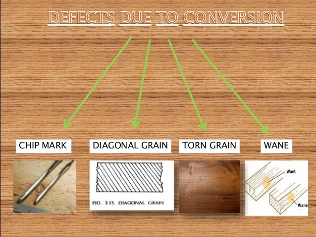 defects in timber by abhishek kumar jatav