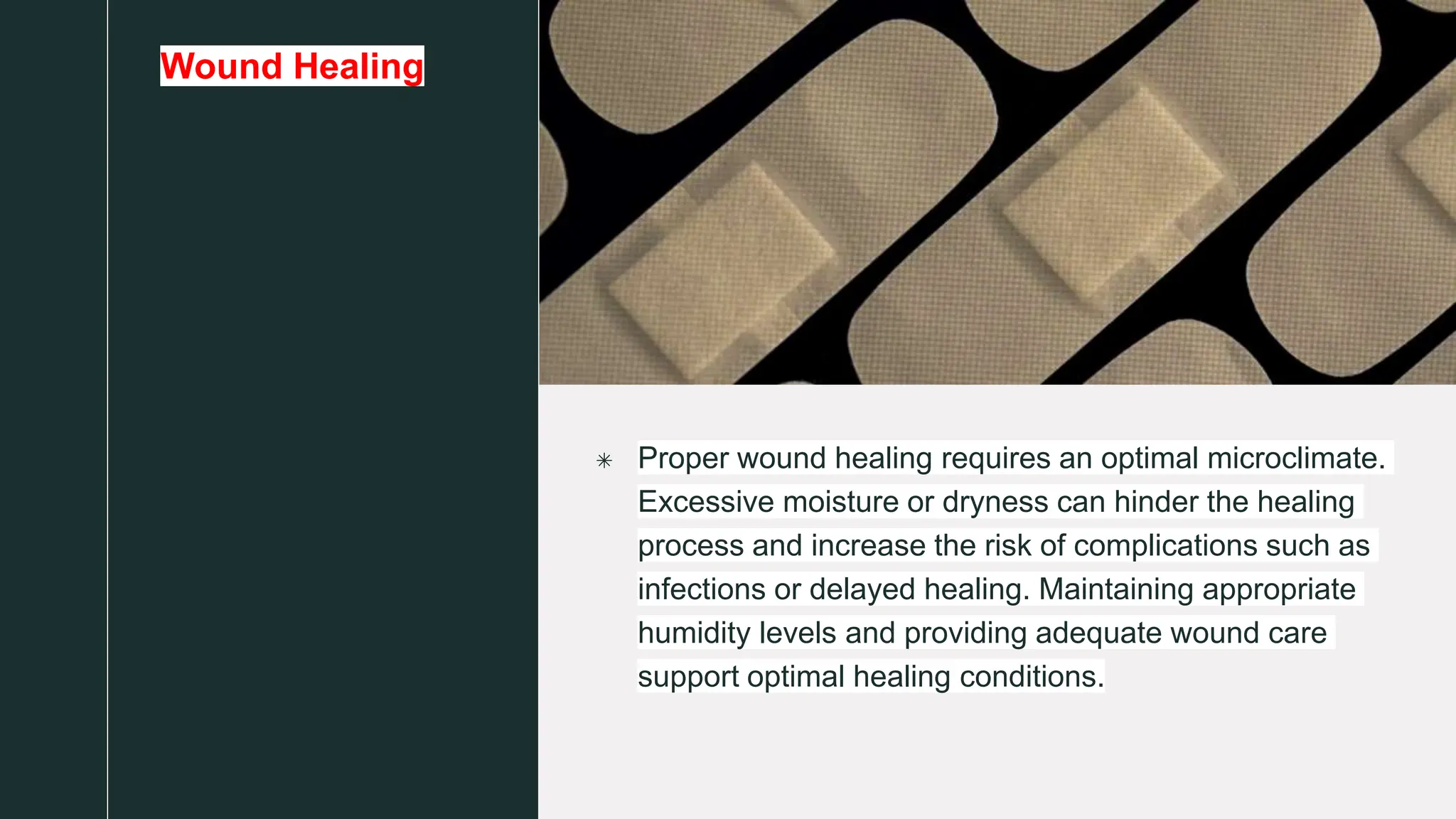 Hospital Rooms microclimate Hygienic Importance ppt | PPTX