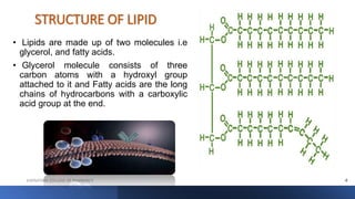 ABHISHEK S1 FA LIPIDS food analysis m.pharm | PPTX