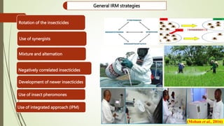 PRESENTS STATUS OF INSECTICIDE RESISTANCE IN INSECTS | PPT