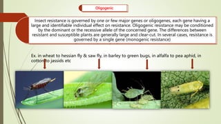 PRESENTS STATUS OF INSECTICIDE RESISTANCE IN INSECTS | PPT