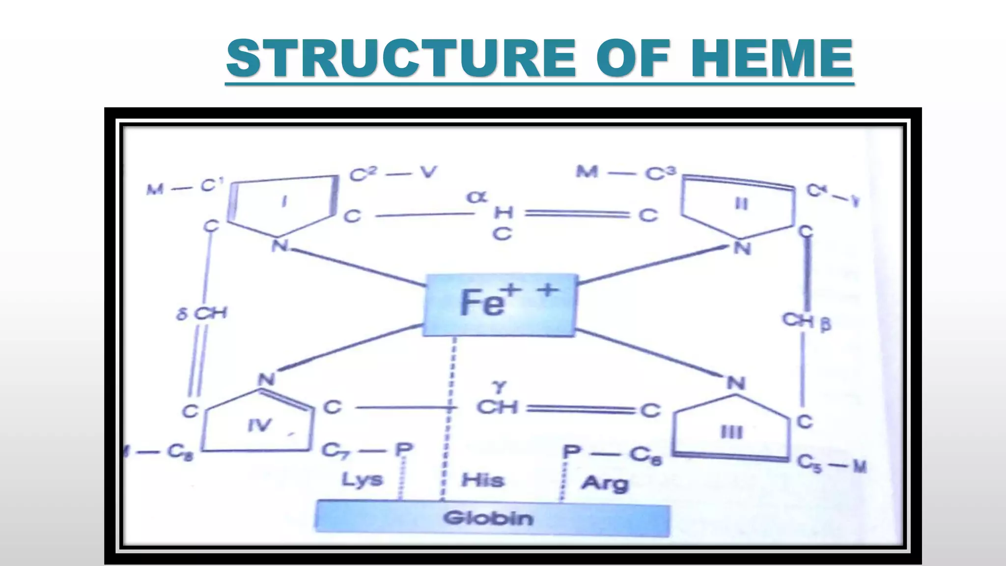 Structure Of Hemoglobin And Myoglobin Pptx Chemistry Science