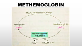 STRUCTURE OF HEMOGLOBIN AND MYOGLOBIN | PPTX