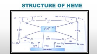 STRUCTURE OF HEMOGLOBIN AND MYOGLOBIN | PPTX