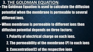 RESTING MEMBRANE POTENTIAL | PPT