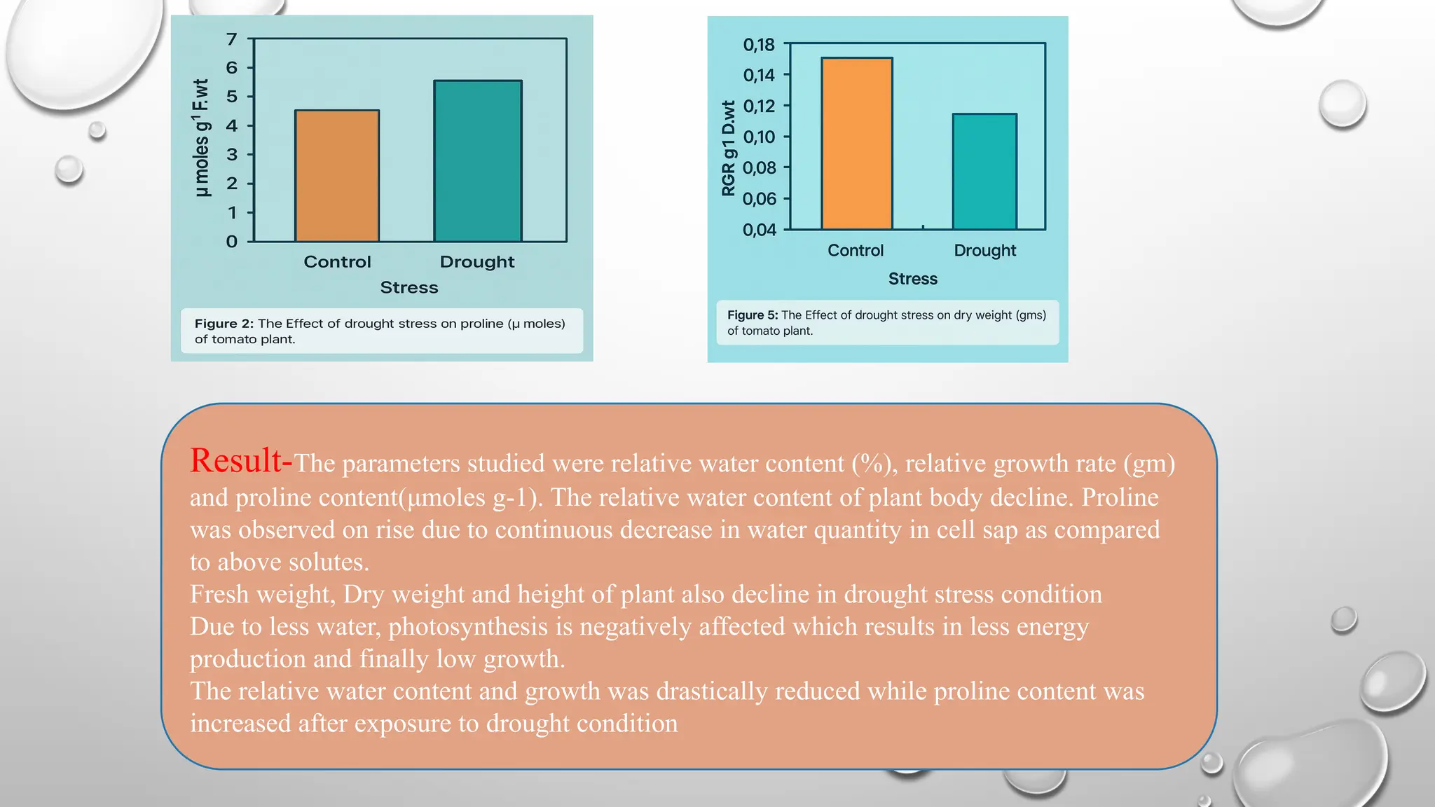 drought stress in vegetable crop and its effect in yield | PPTX