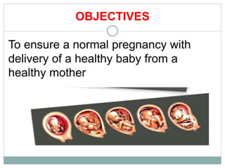 antenatal-care.ppt