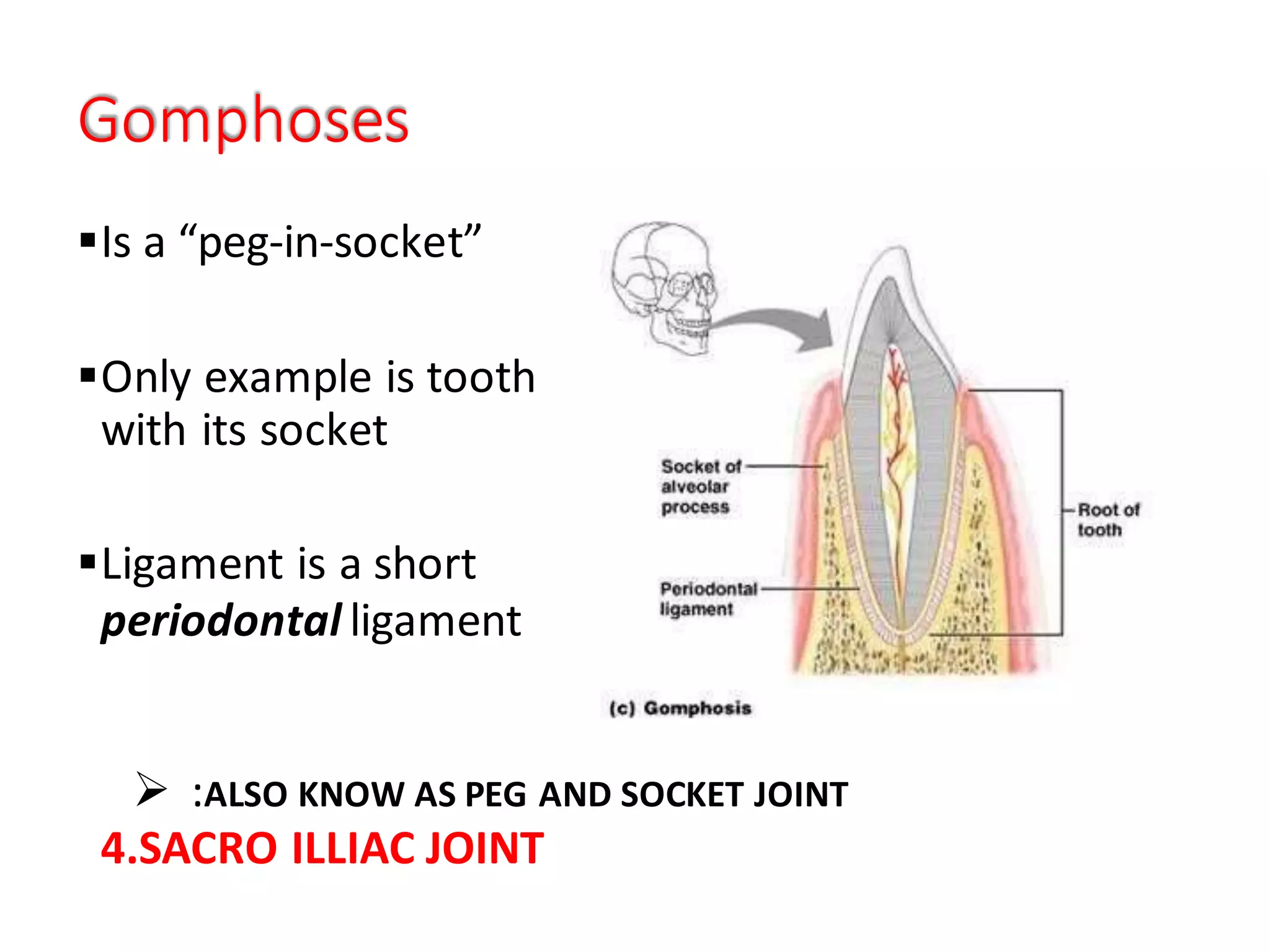 ABHI (TYPES OF JOINTS 2).docx