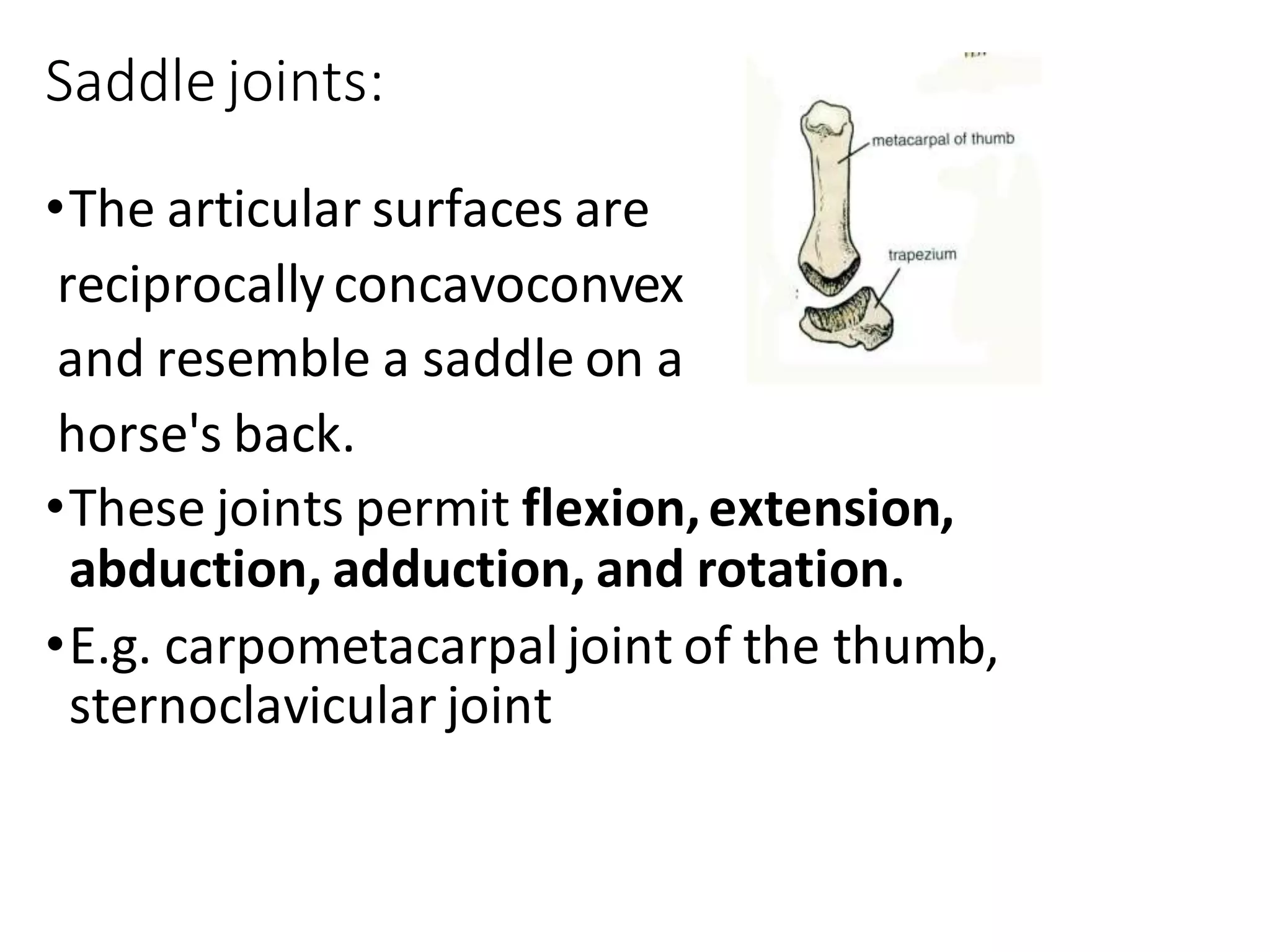 ABHI (TYPES OF JOINTS 2).docx