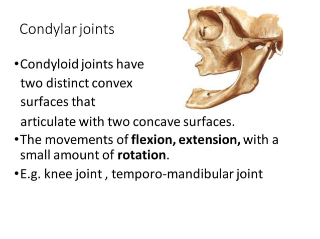 ABHI (TYPES OF JOINTS 2).docx