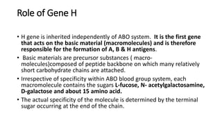 ABH SYSTEM ppt.pdf
