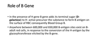 ABH SYSTEM ppt.pdf