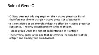 ABH SYSTEM ppt.pdf