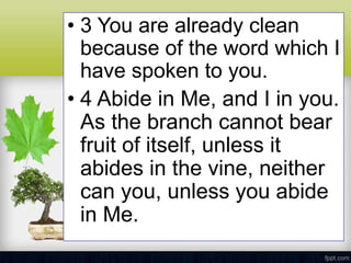 Abide in the vine | PPTX