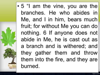 Abide in the vine | PPTX