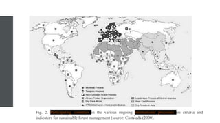 SFM Criteria and Indicators for Dry Land Asia Process | PPT | Free Download