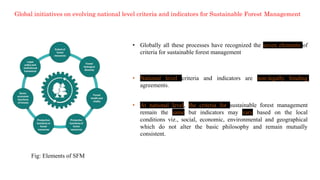SFM Criteria and Indicators for Dry Land Asia Process | PPT | Free Download