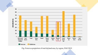 SFM Criteria and Indicators for Dry Land Asia Process | PPT | Free Download