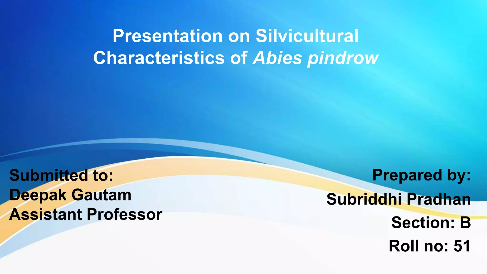 Abies pindrow | PPTX