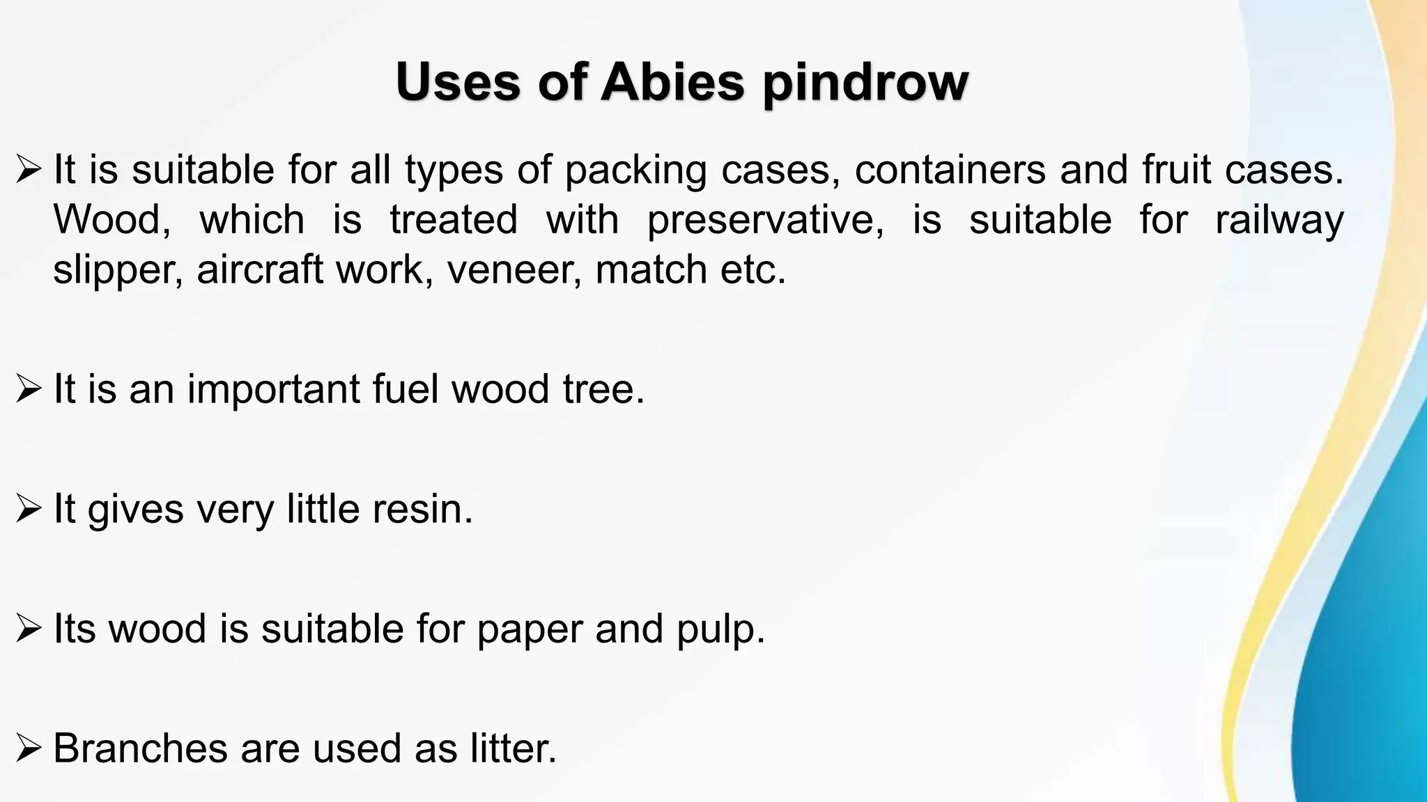 Abies pindrow | PPTX