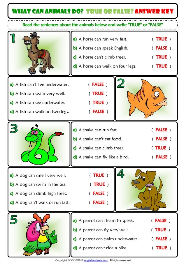 Ability and inability true or false esl exercise worksheet for kids Ability and inability true or false esl exercise worksheet for kids