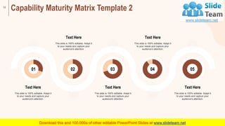 Ability Maturity Matrix PowerPoint Presentation Slides | PDF