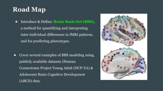 Basic Units of Inter-Individual Variation in fMRI Data | PPTX