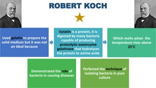History of Microbiology | PPTX