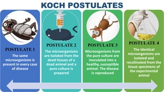 History of Microbiology | PPTX