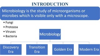 History of Microbiology | PPTX